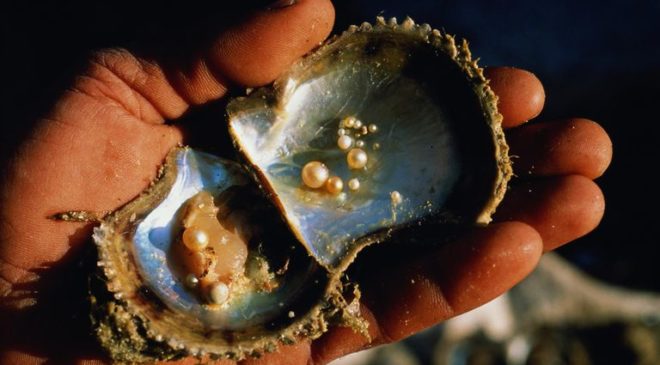 How the pearls are formed? Natural and artificial pearls ⋆ FutureNow